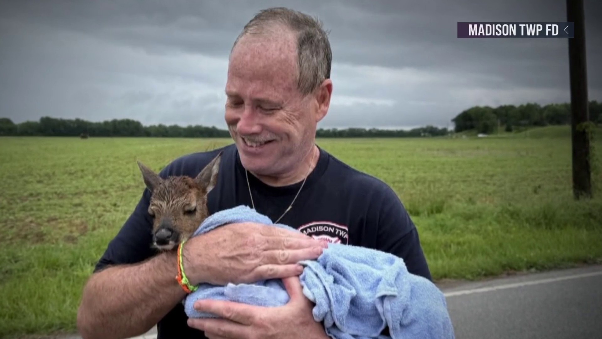 Oh deer: Indiana firefighters rescue baby deer from rushing floodwater
