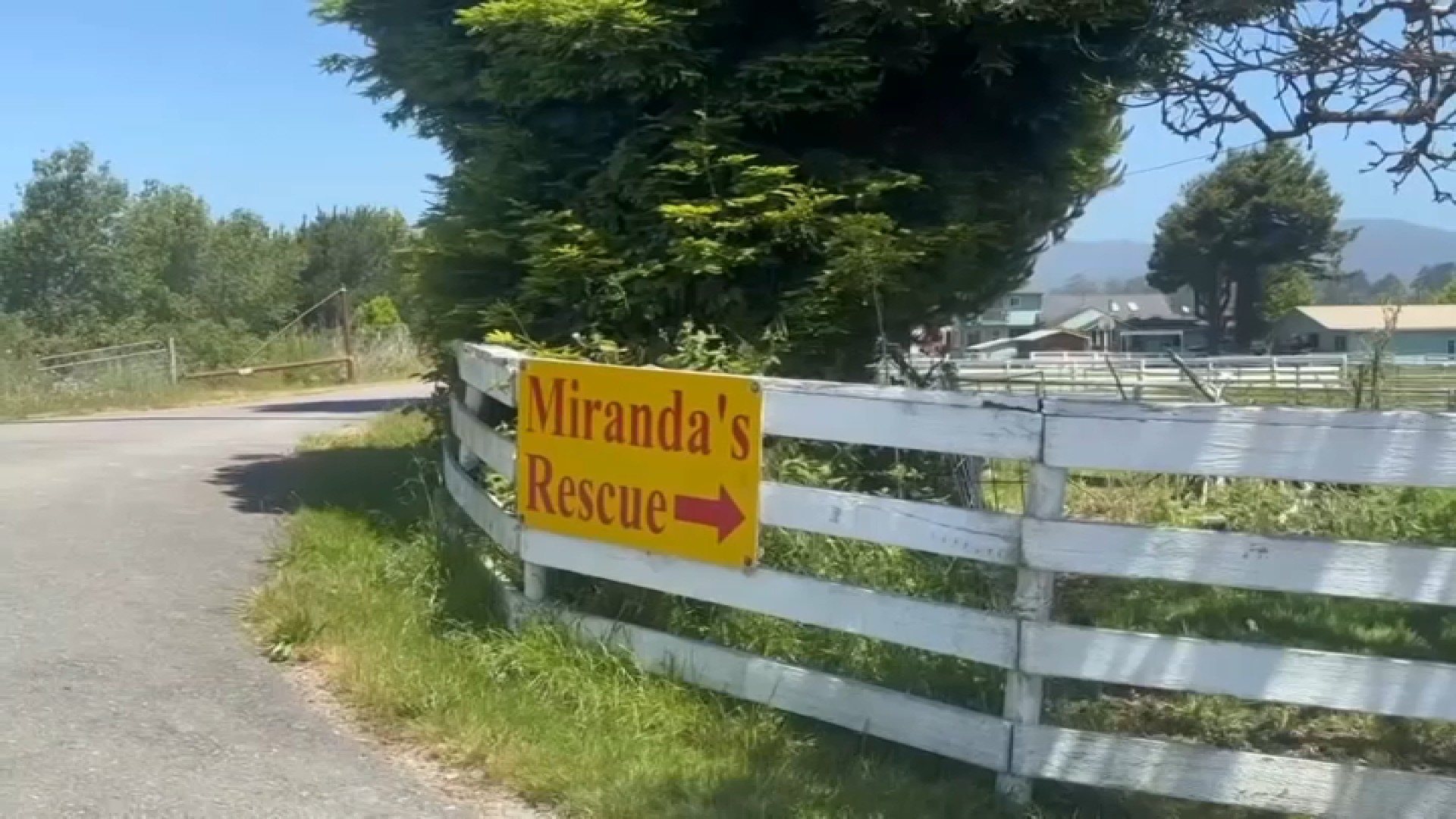 'Sadness and anger': Northern California animal rescue accused of ...