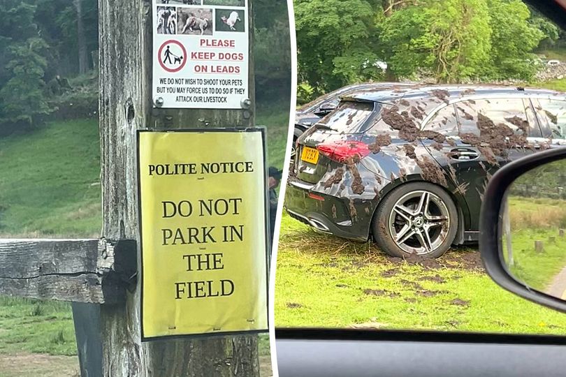 Farmer reportedly sprays slurry over cars parked illegally in field