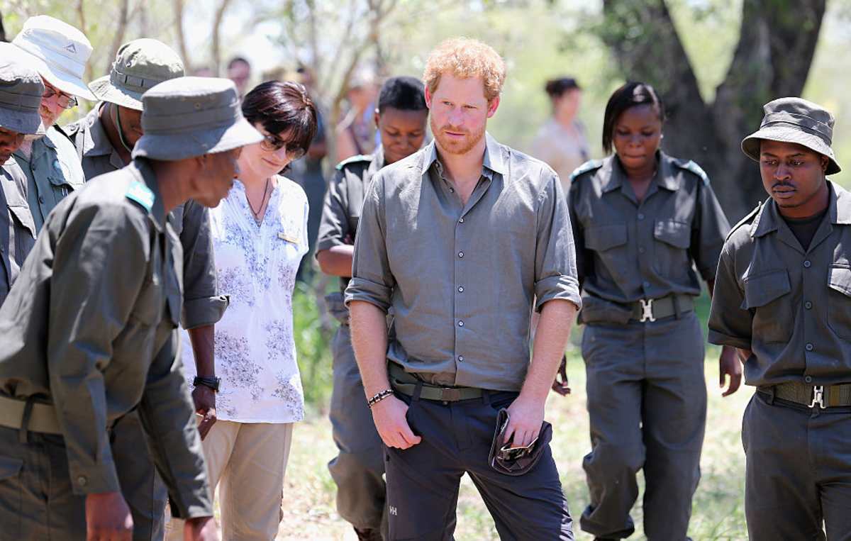 Prince Harry Dealt Fresh Blow as Pressure Mounts to Resign From African ...