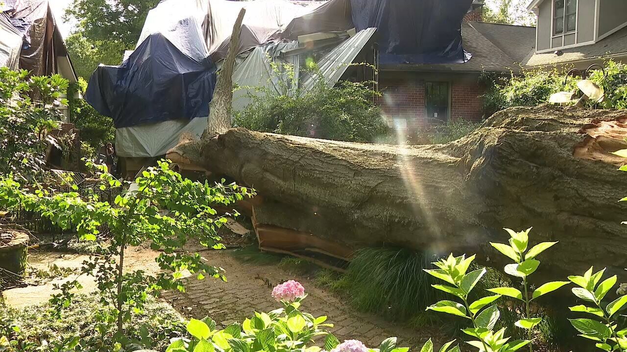 Massive tree splits Atlanta home in two