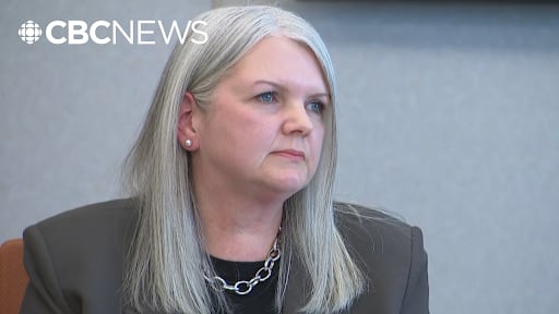 Auditor general's report outlines 'serious shortcomings' for NWT child ...
