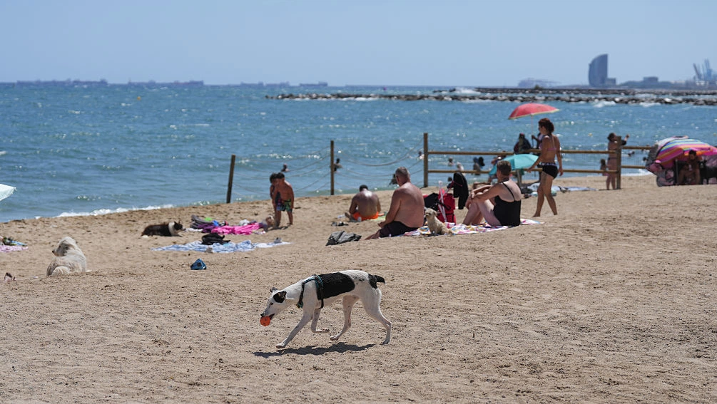 New summer guides reveal top dog-friendly destinations
