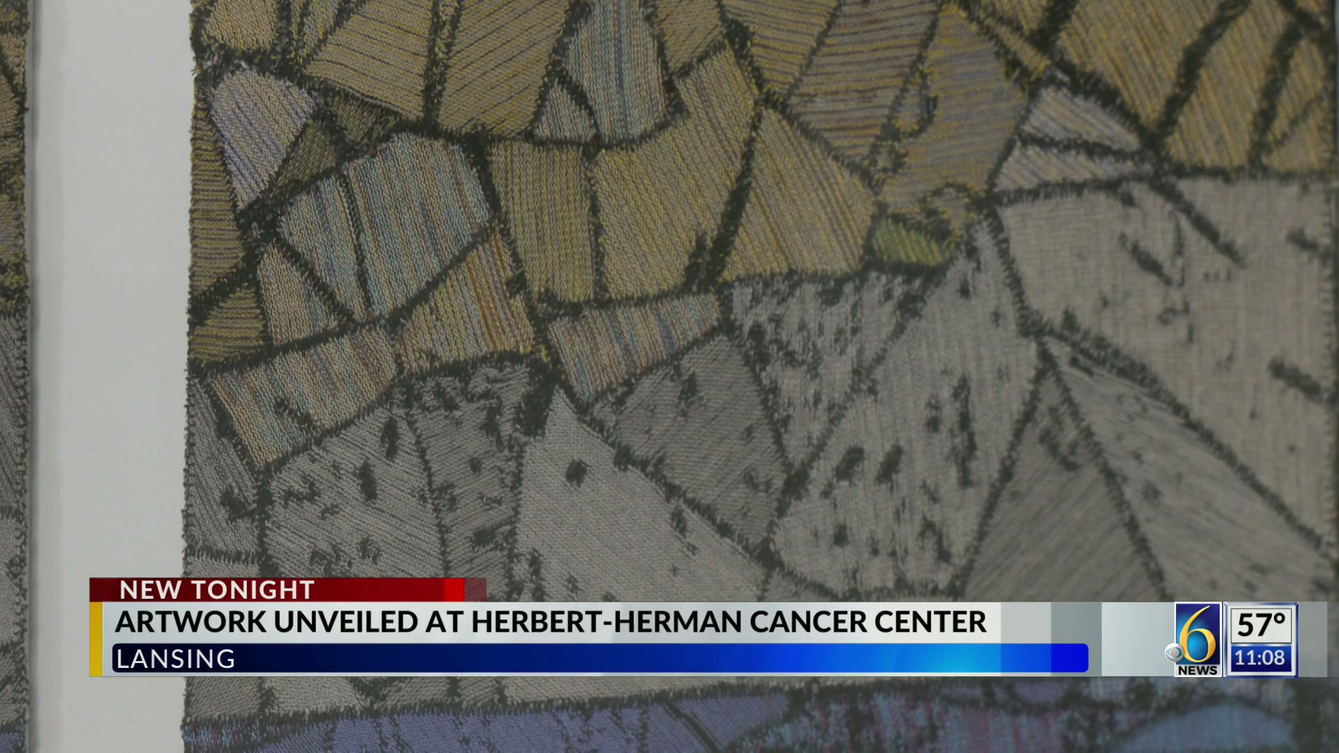 Former Sparrow cancer center patient unveils waiting room art piece