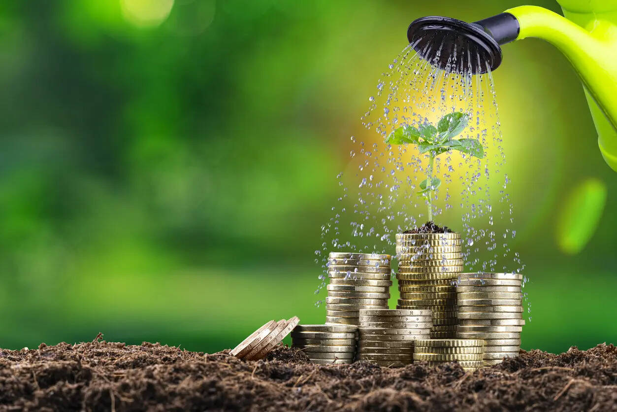 Best short duration mutual funds to invest in May 2026