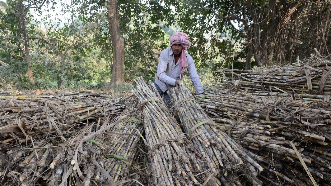 UP hits ₹3.22 lakh crore sugarcane payment milestone since 2017