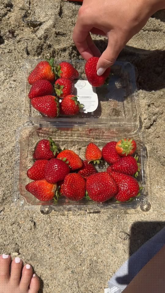 Easy and yummy beach treats anyone can make