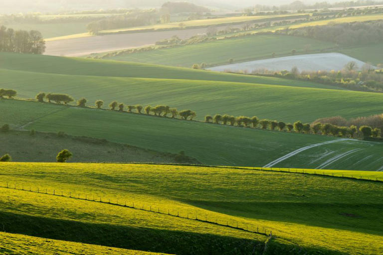 Two Hampshire national parks named the UK’s best for solo escapes