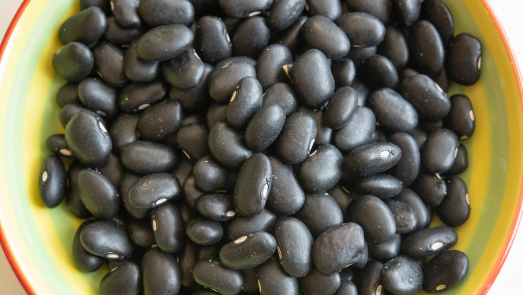 High-protein meals that won’t break your budget