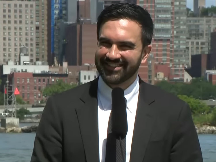 Mamdani: NYC 'Commission of Government Efficiency' will be what Elon ...