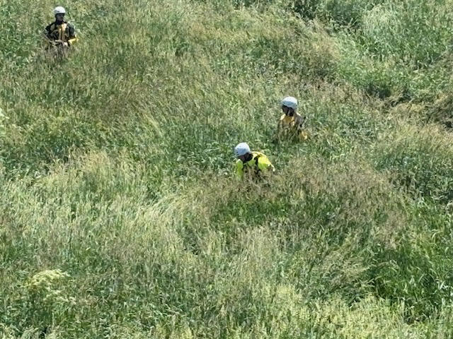 Photos: Dog saved from river in Miamisburg