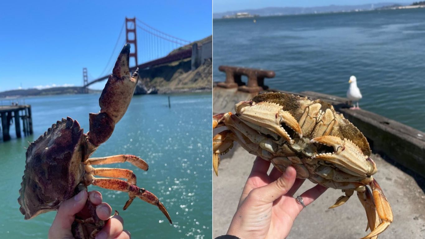 The Bay Area's easiest spots for beginner crabbers