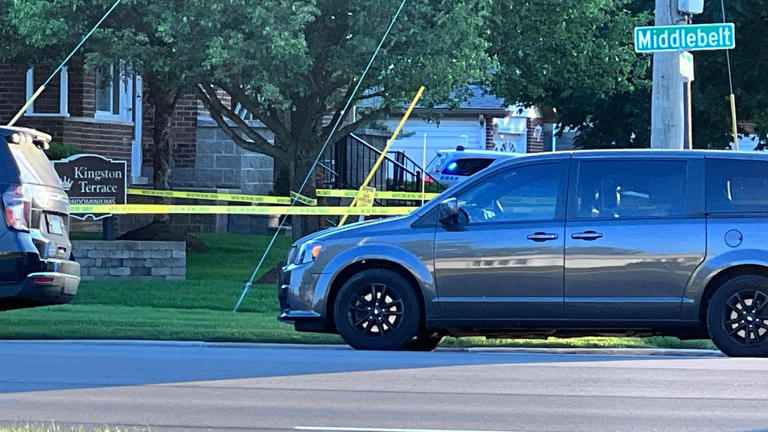 Man found fatally stabbed in Livonia road, suspect in custody, police say