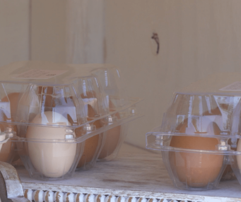 New self-serve farm stand offers local foods in Follansbee