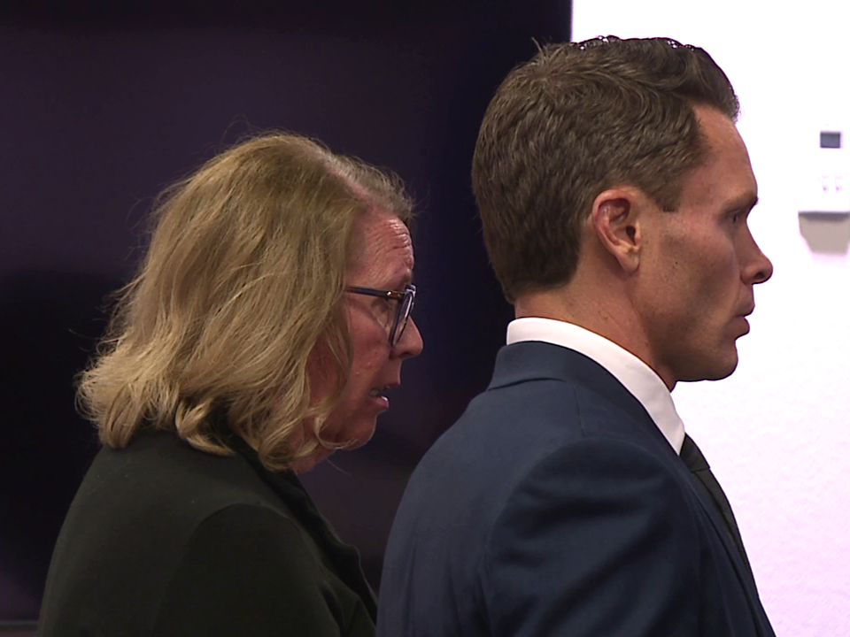 Former Washoe judge Bridget Robb pleads guilty in stalking case