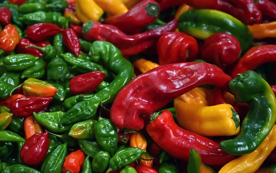 New chart redefines understanding of pepper heat levels