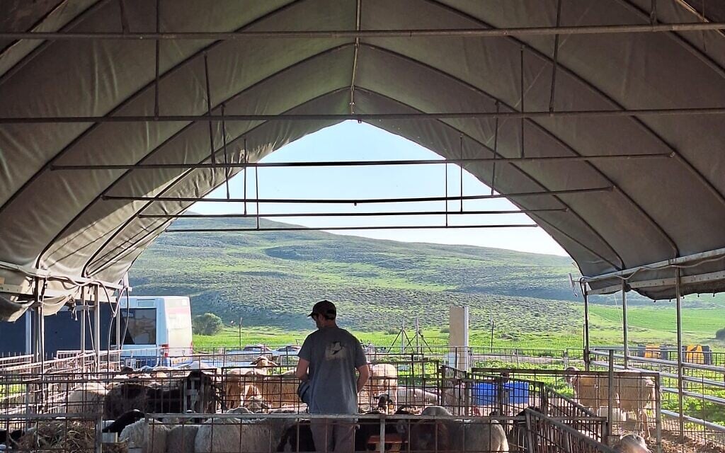 Germinated by its founder’s trauma, growing farm network cultivates ...