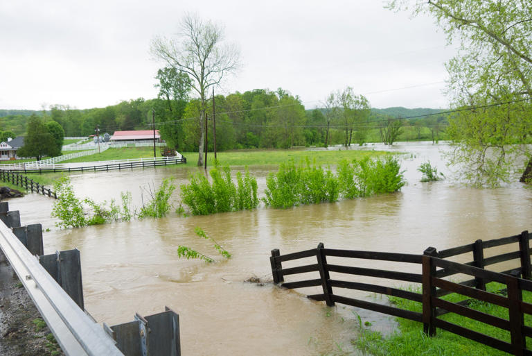 Woman dead after being swept away by swift water during flash flooding ...
