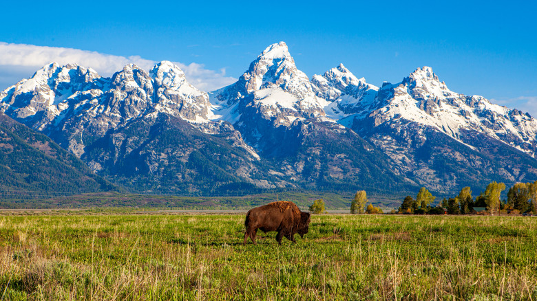 Forget Colorado, retire to this more affordable state out west with ...