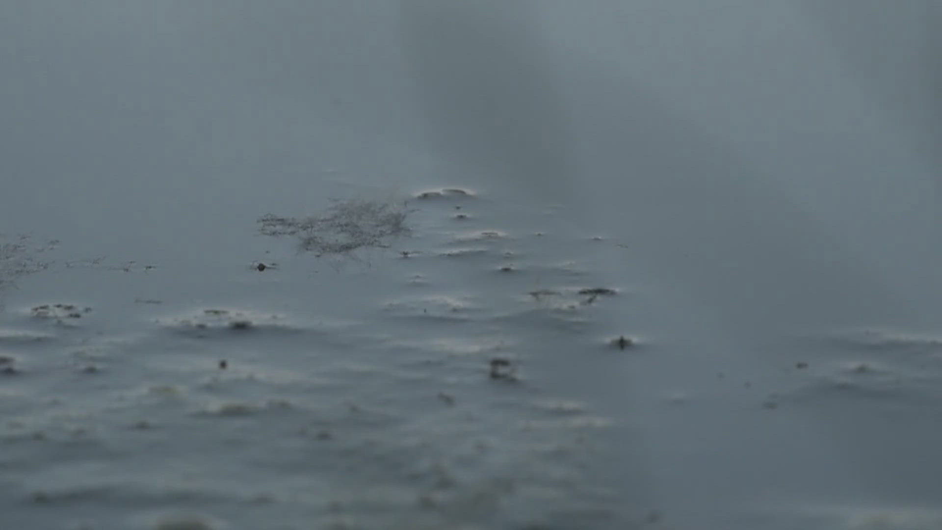 East Iowa health officials say wet spring could make for more ...