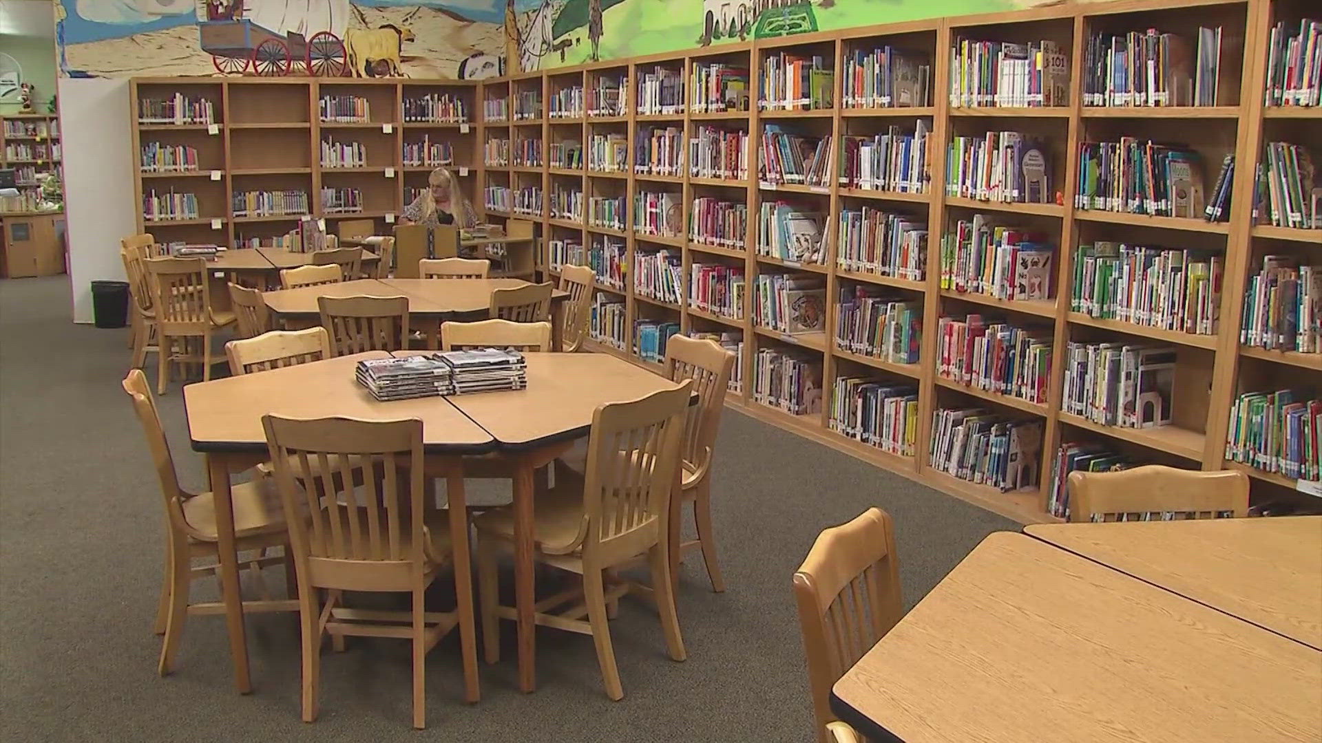 Educators sound alarm over reading recession