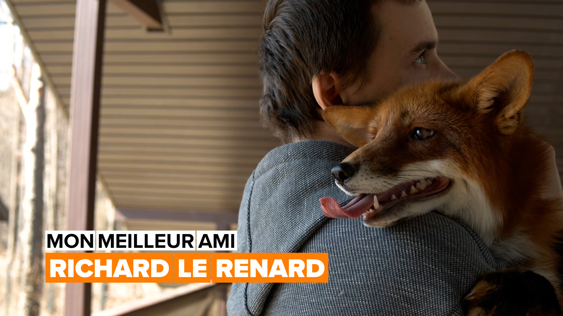 Mon meilleur ami : le renard