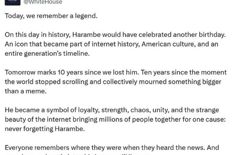 White House pays bizarre tribute to 'true patriot' gorilla whose death ...
