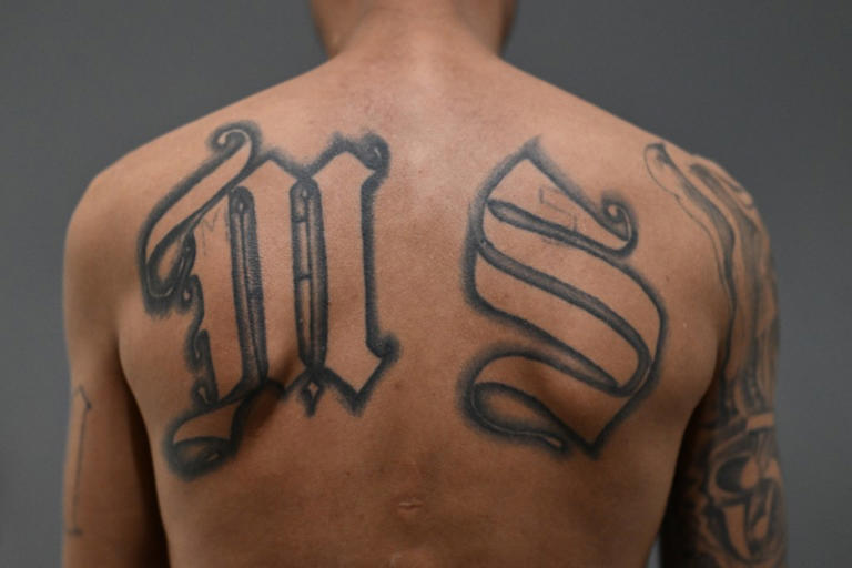 MS-13 gang cut man’s heart out with a machete in forest as heinous ...