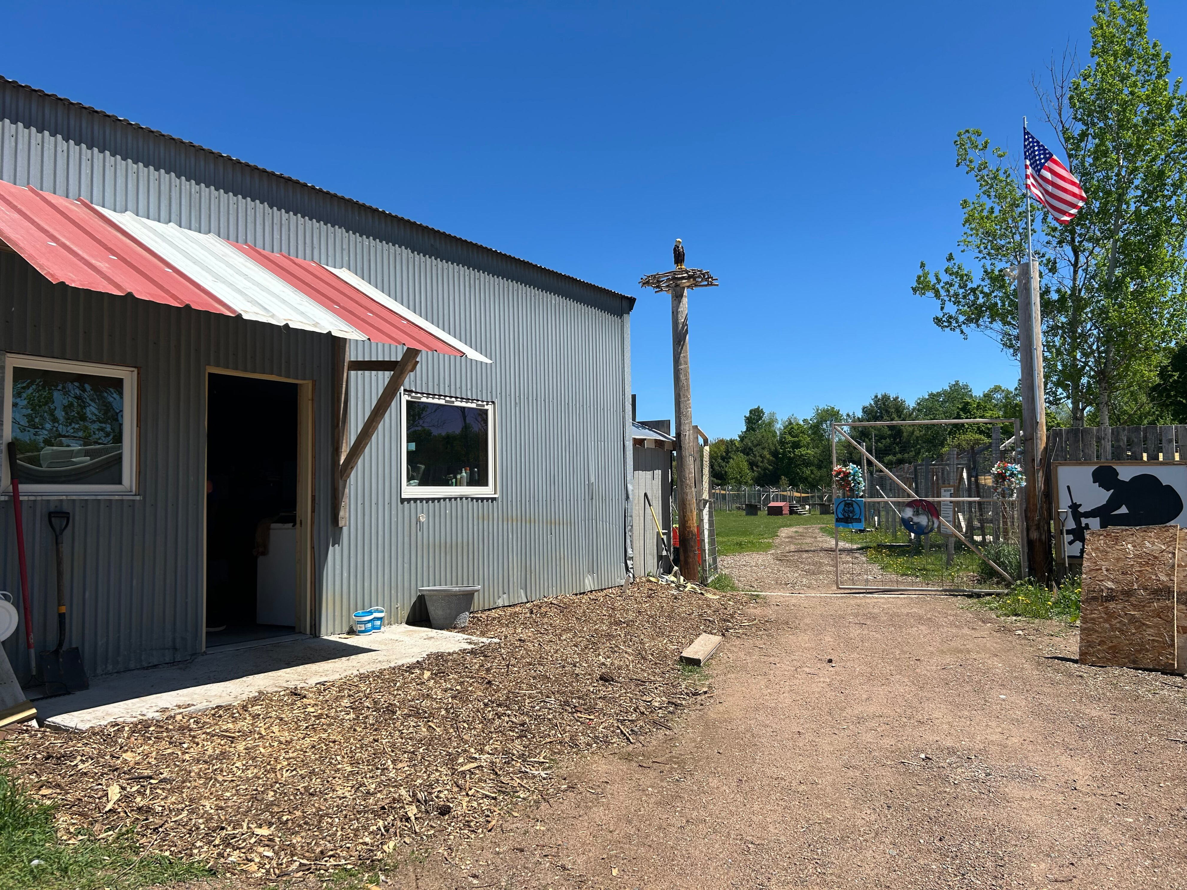 Wolf dog rescue adds new space to care for animals