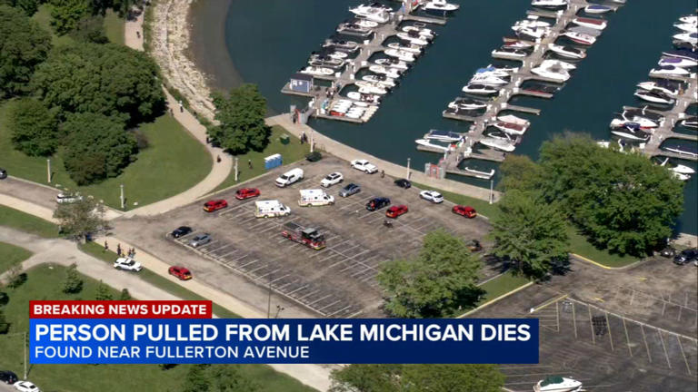 Man dies after being pulled from Lake Michigan near Diversey Harbor ...