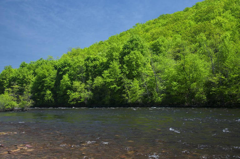 12-year-old boy dies in rafting accident during school trip to the Poconos