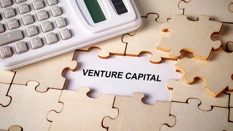 AI, fintech draw venture cash in $5.9b funding year