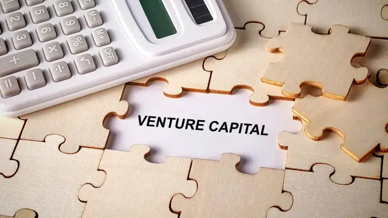 AI, fintech draw venture cash in $5.9b funding year