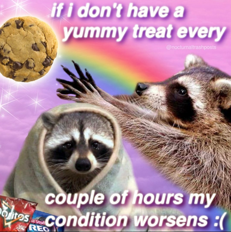 'Grey skies and blueberry pies': A rainy day sweet treat of funny memes