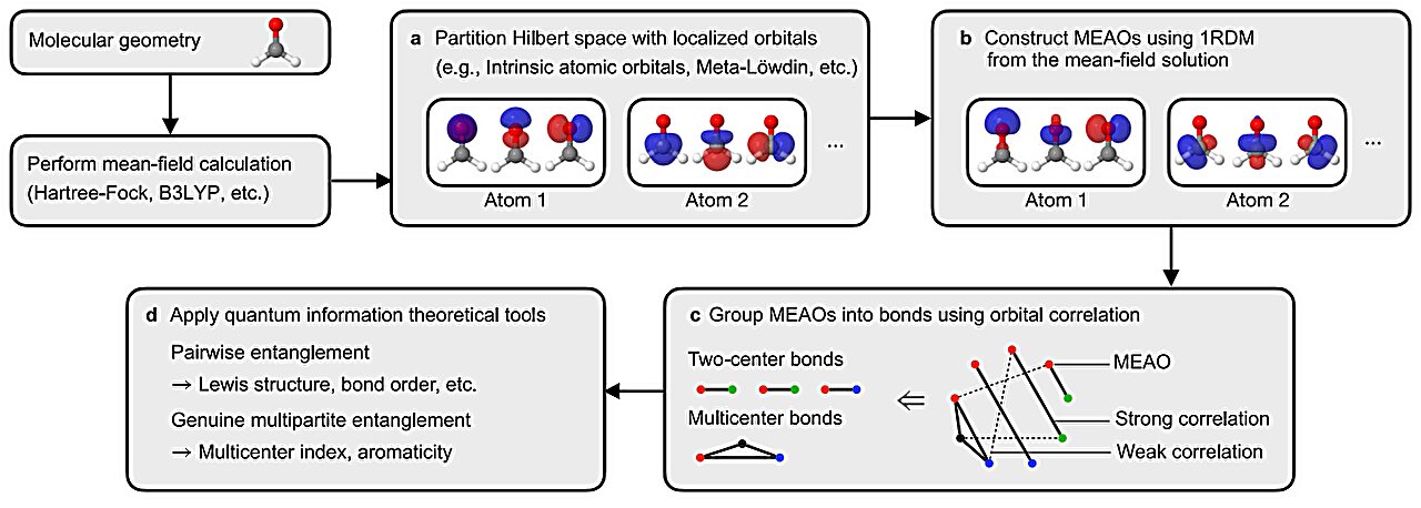 Quantum entanglement provides a new framework for understanding ...