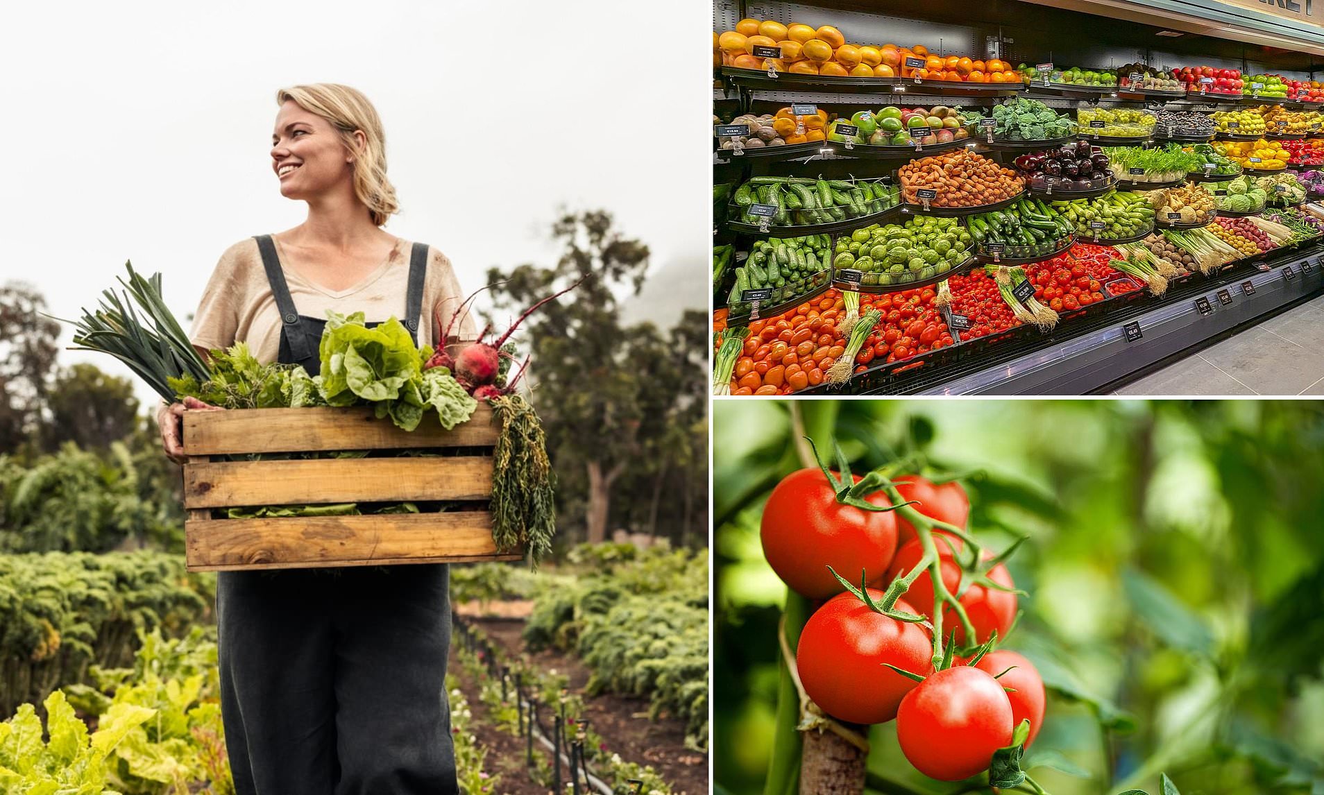 Shock as consumers learn organic produce costs 60 percent more than ...