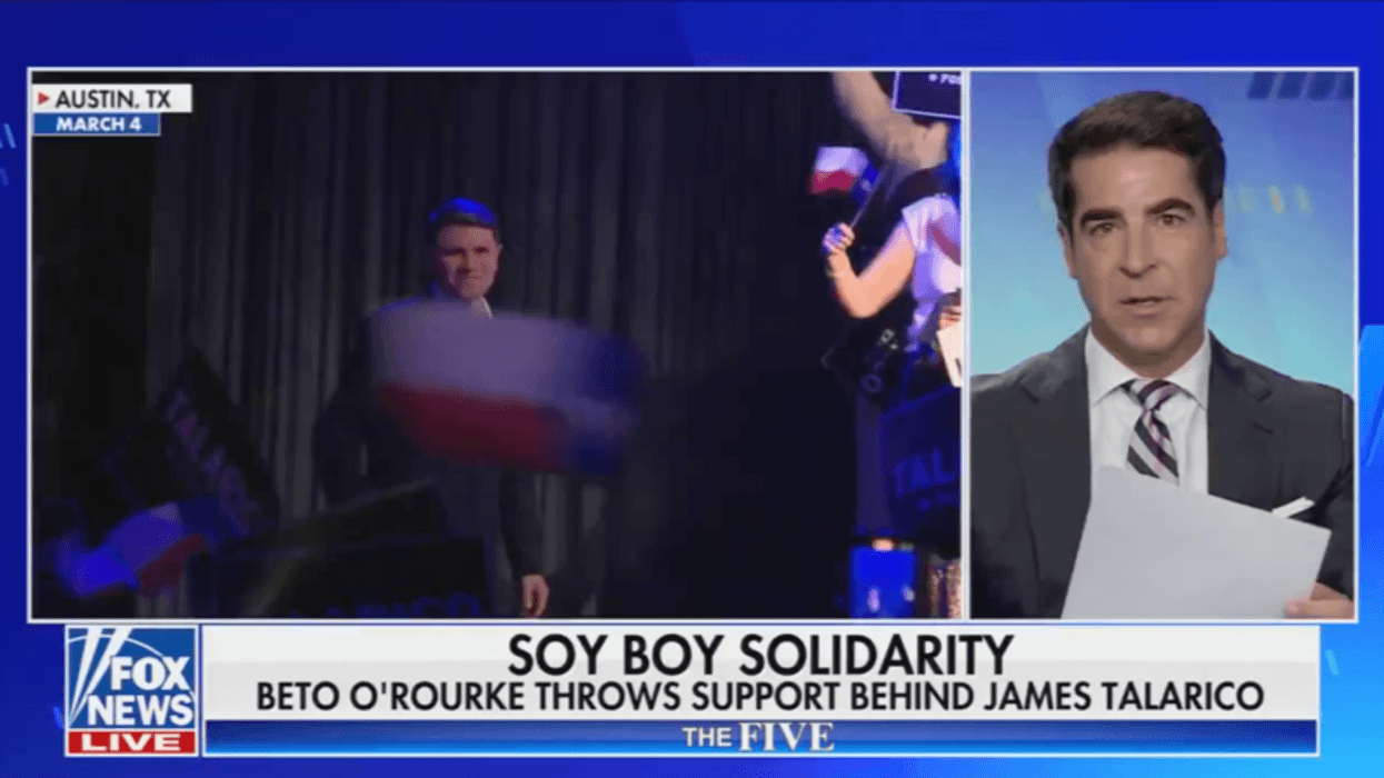 Jesse Watters brutally mocked for his strange obsession over candidate ...