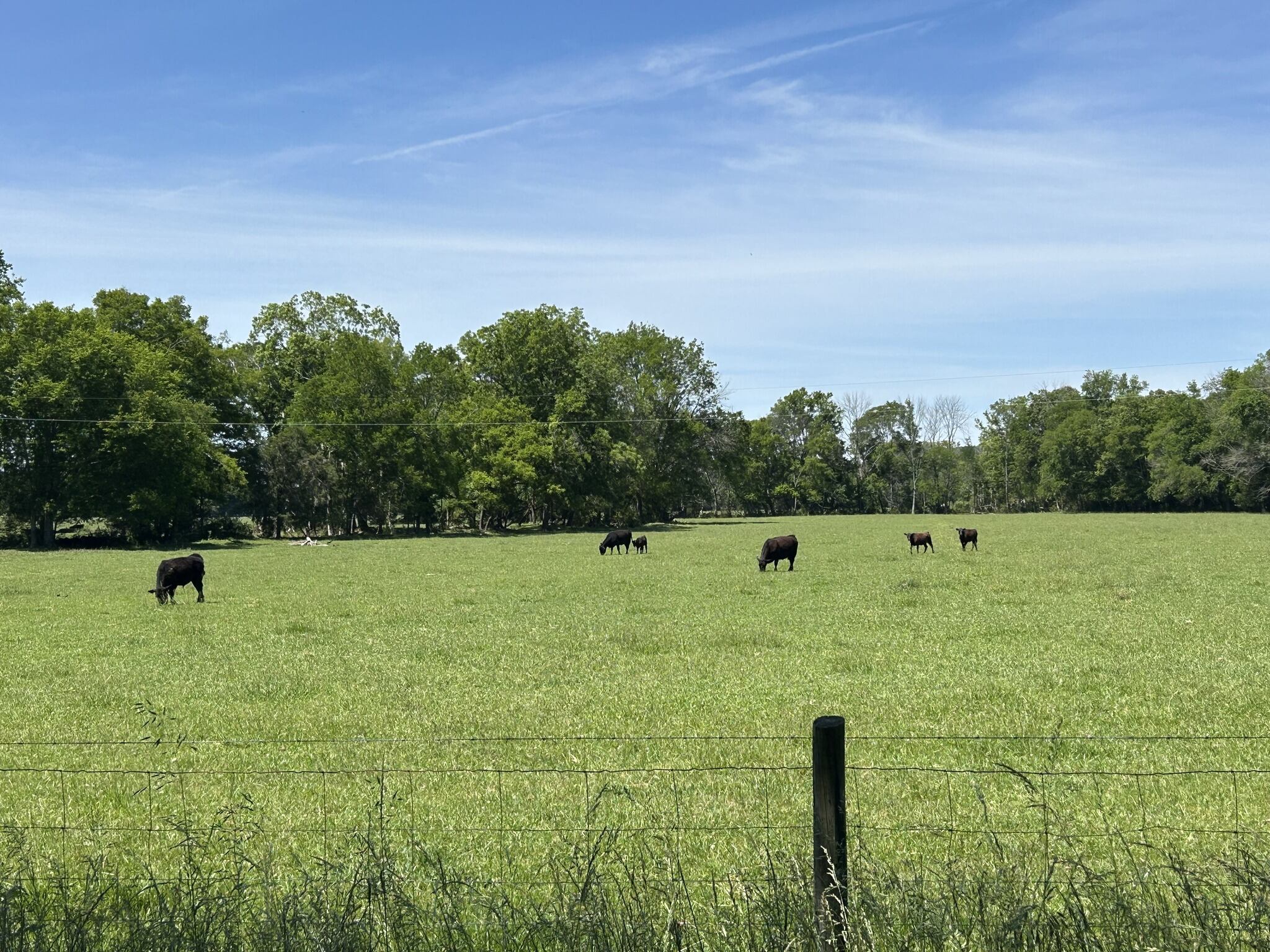 TN family ranch employee of 20 years charged with stealing more than ...