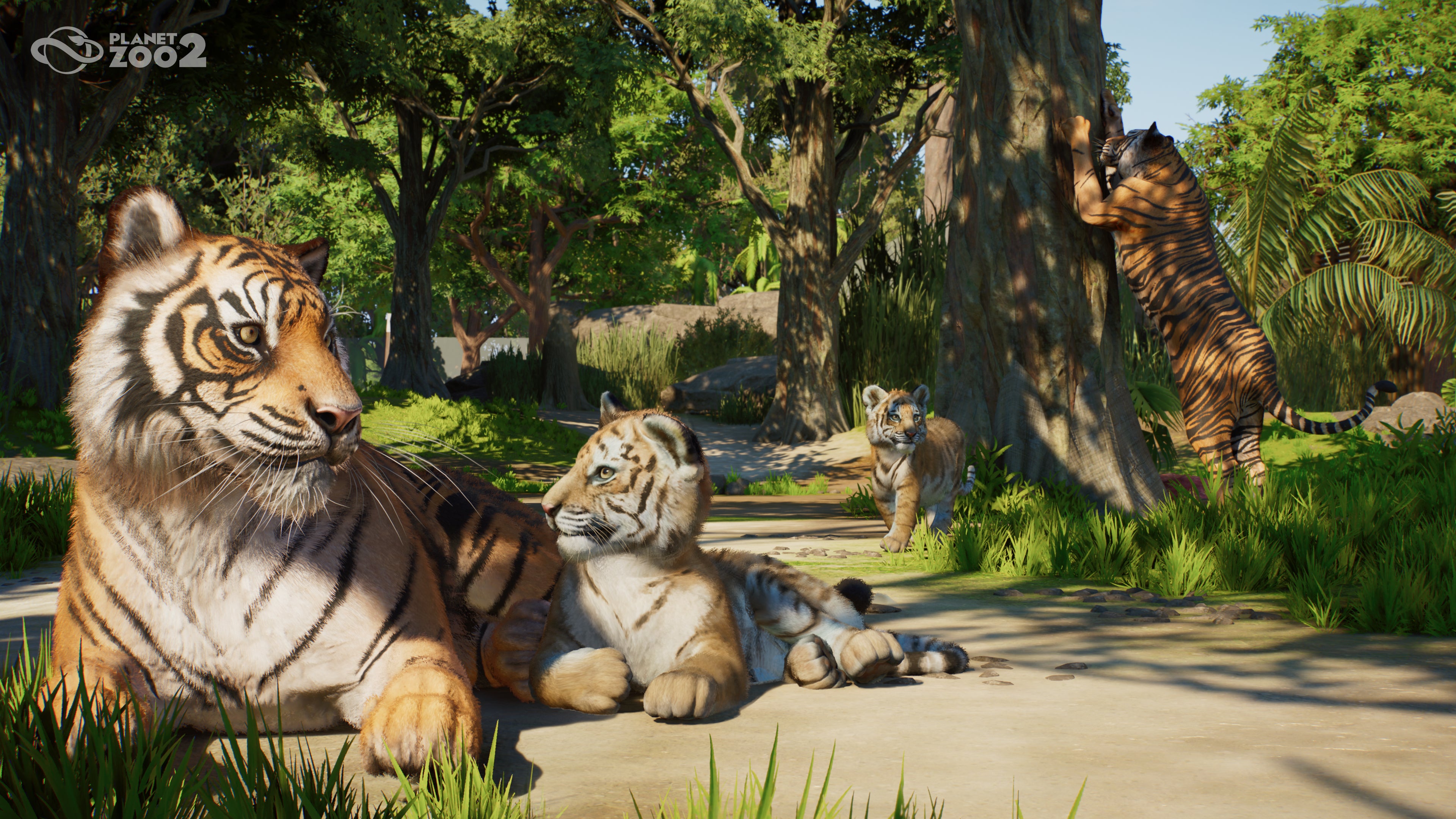 Planet Zoo 2 coming this year, featuring flying and aquatic animals