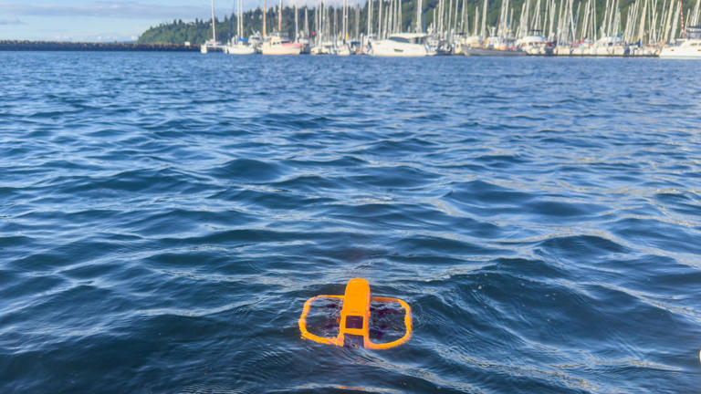 Hands-on with HoverAir Aqua, a drone that isn't afraid of the water