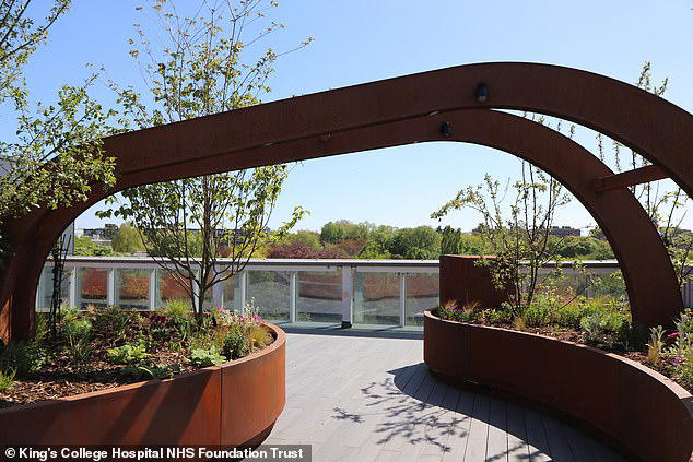 NHS hospital opens critical care unit on its roof in the hope fresh air ...