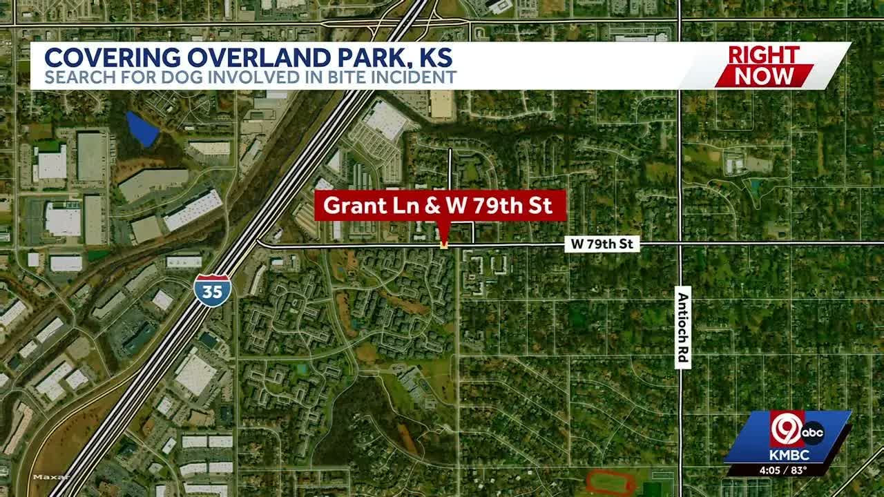 Overland Park police seek information after dog attack