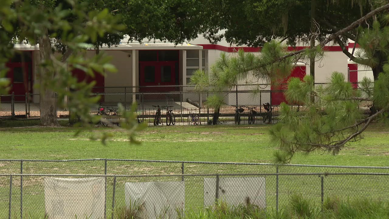 Palm Harbor K-8 charter school proposal raises traffic, environmental ...