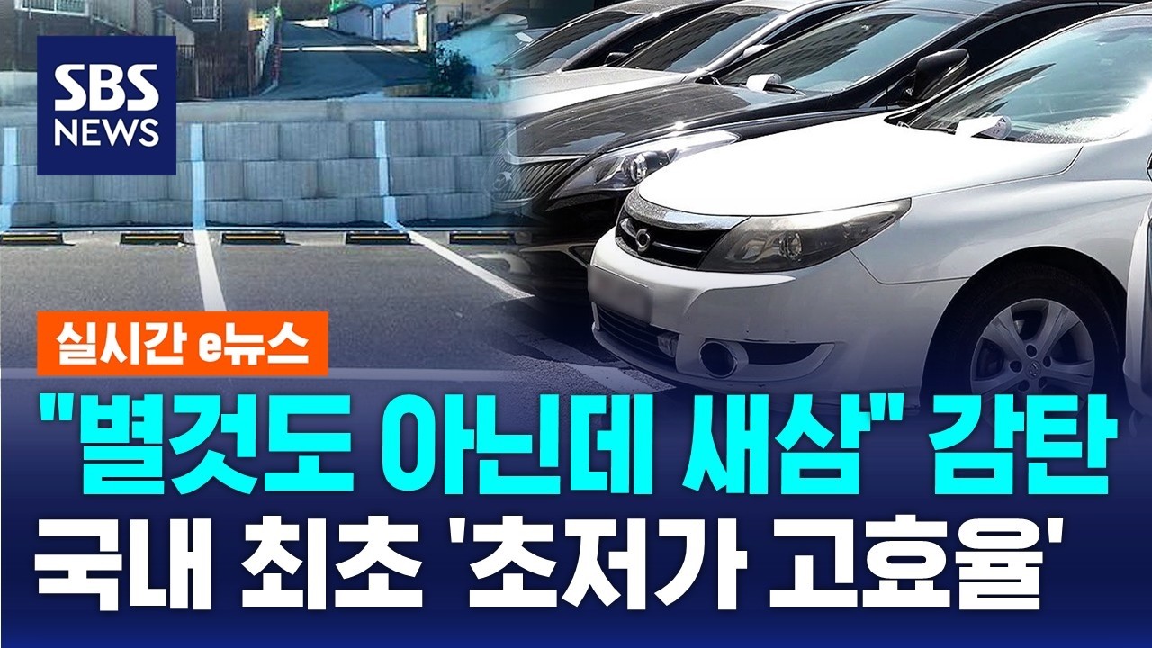 벽면에도 흰색 주차선?.. "대박" 호응 터졌다 / SBS / 실시간 e뉴스