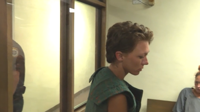 Boyfriend of dog-mauling victim charged after 3 dogs found dead inside ...
