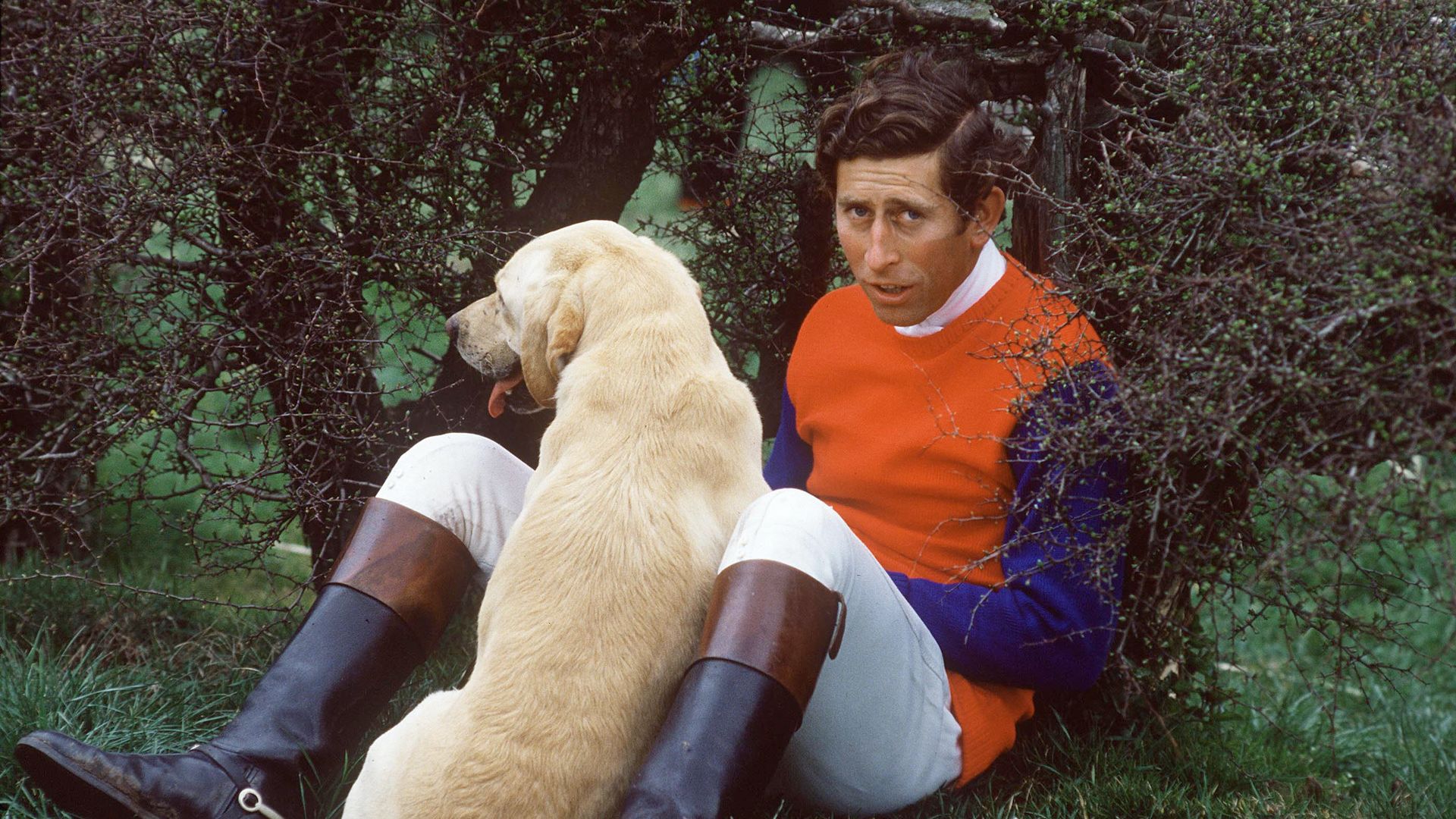 Did Diana influence Charles' choice to rehome Harvey, the lab he adored?