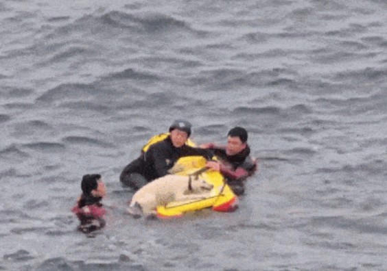 Biting the hand that rescues you: Coast Guard officers injured saving ...