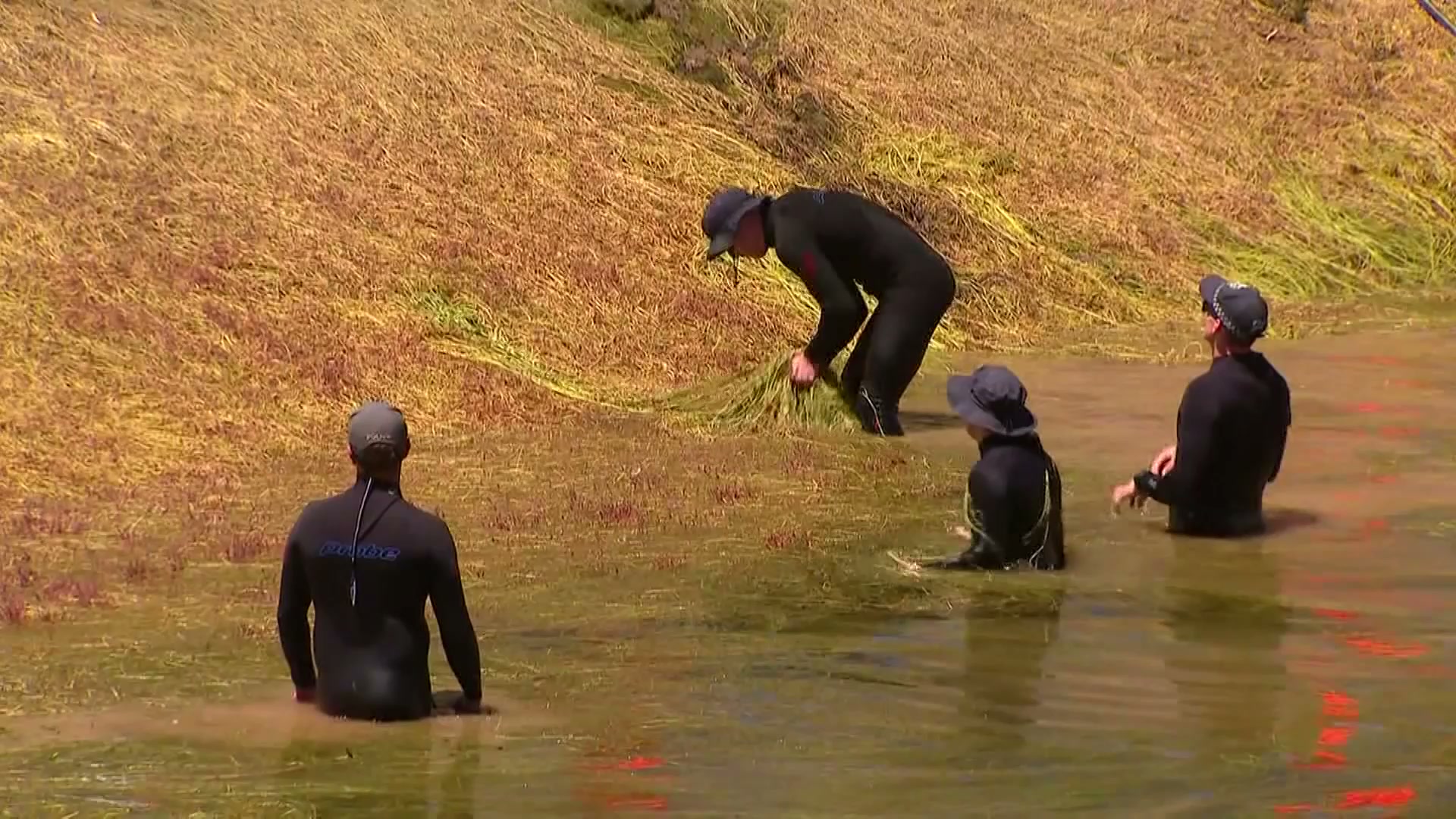 Gus Lamont search uncovers no new evidence, police say 'we won't give up'