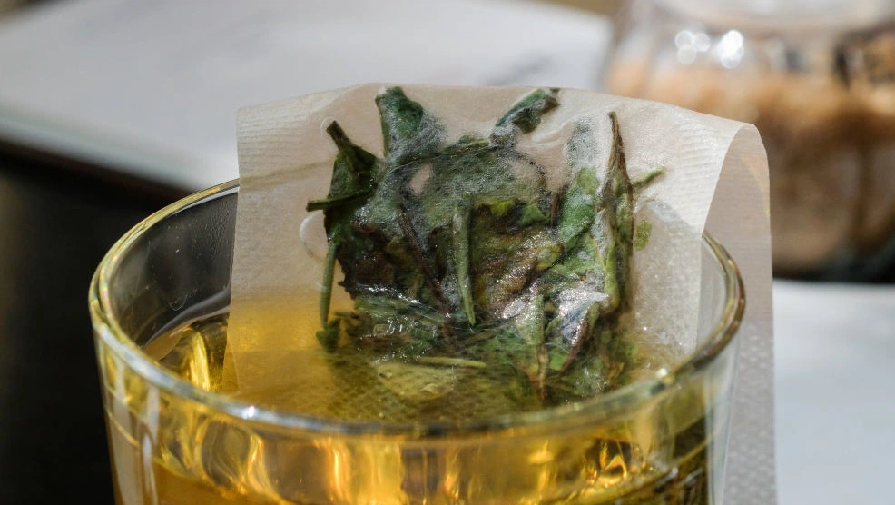 Green and oolong teas boost kombucha’s antioxidant power