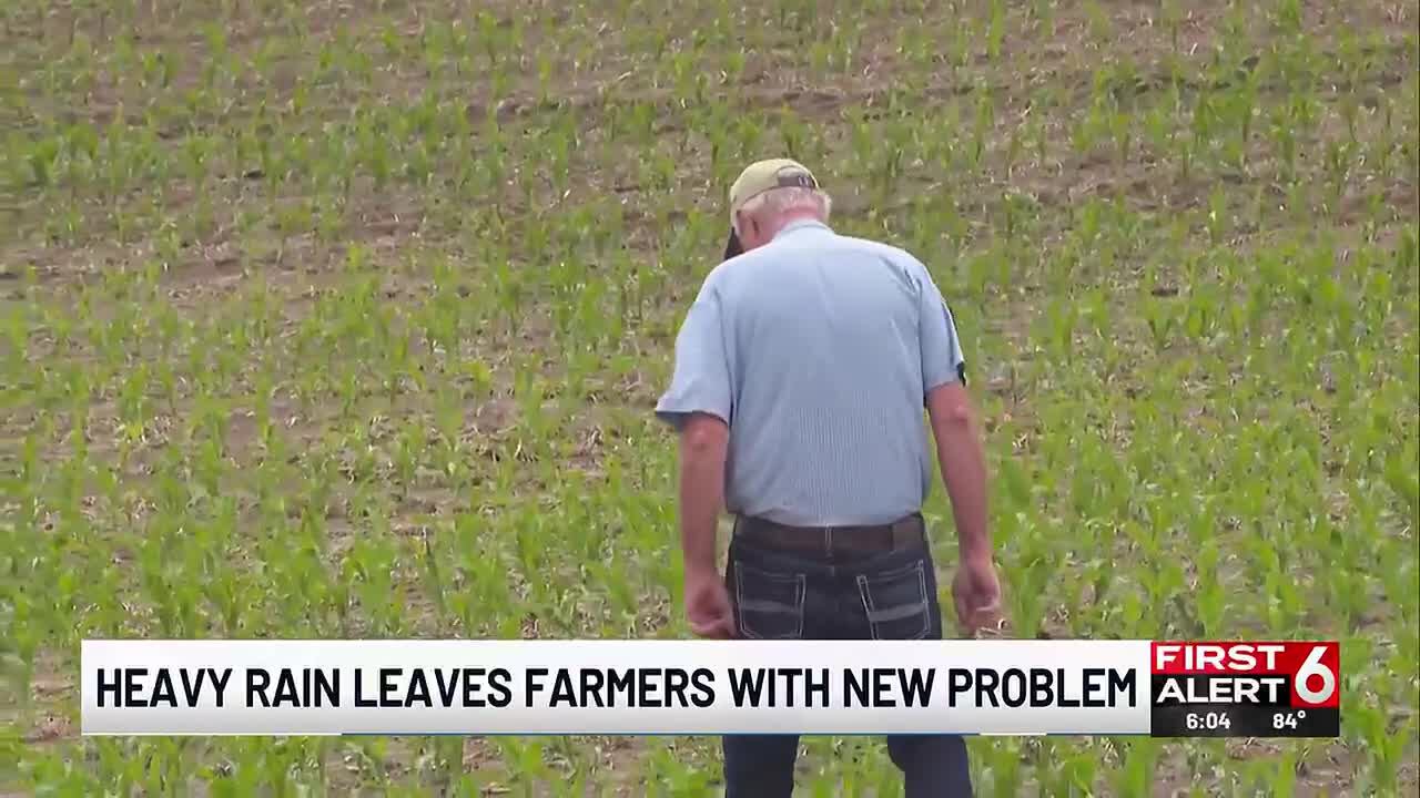 Auburn farmers face years of recovery after storms wash away topsoil